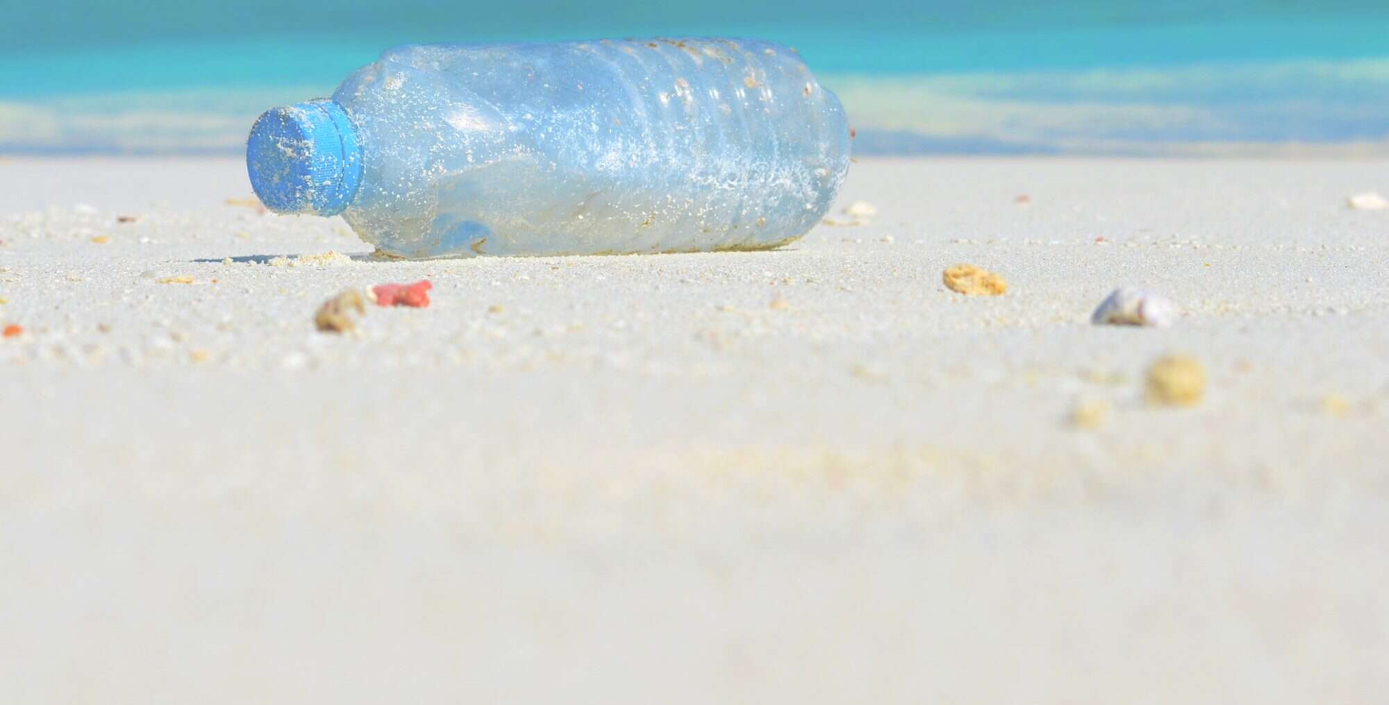 Getting rid of plastic - BM | Independently Minded Contract Caterer