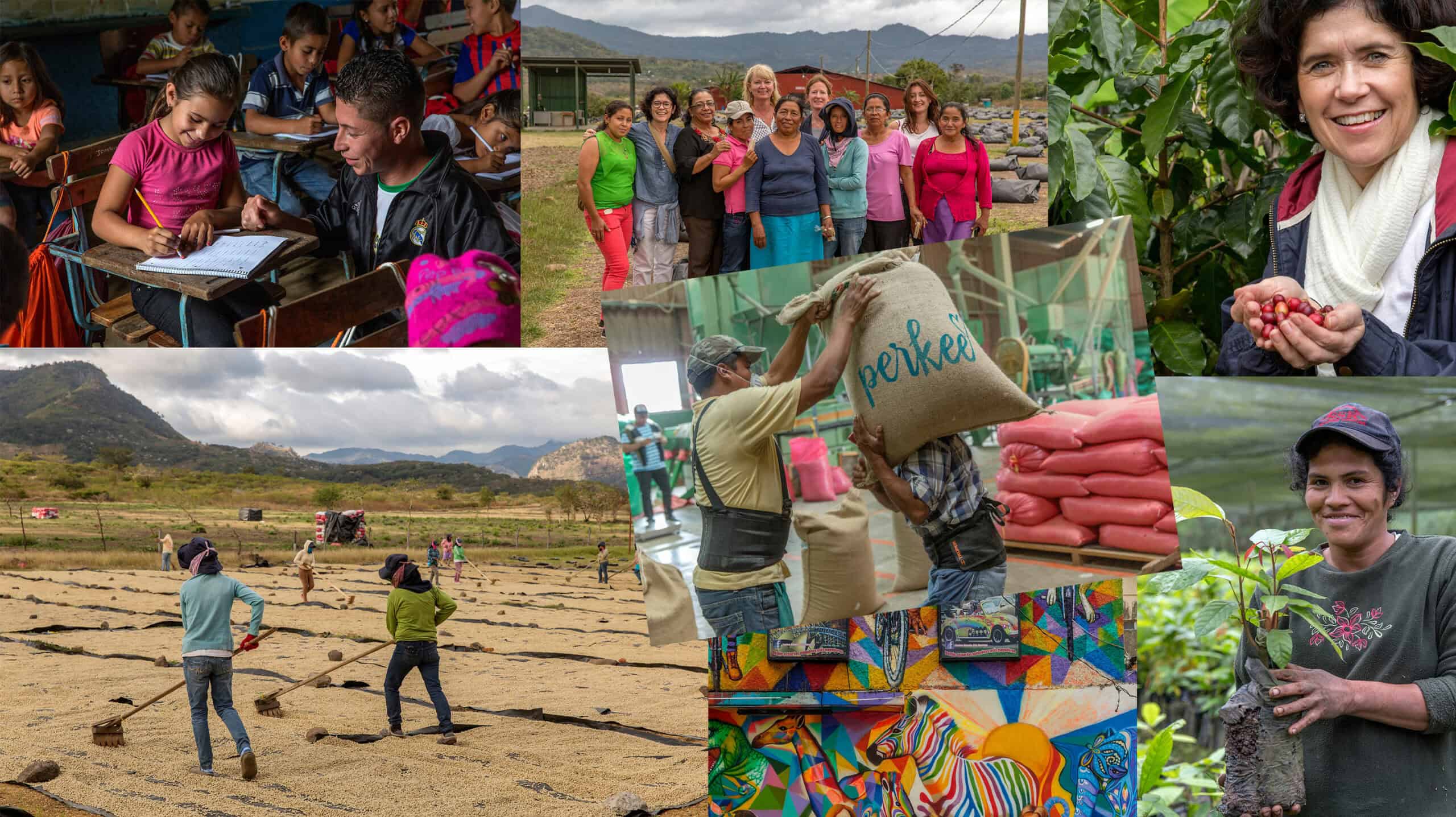 Fairtrade Perkee coffee - it's personal - bartlett mitchell contract ...